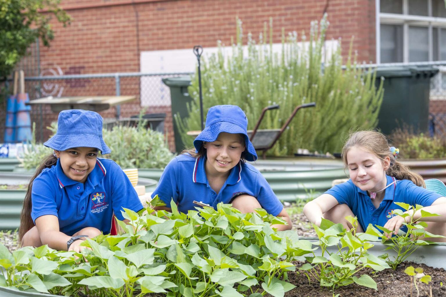 Stephanie Alexander Kitchen Garden Program - Beckenham Primary School
